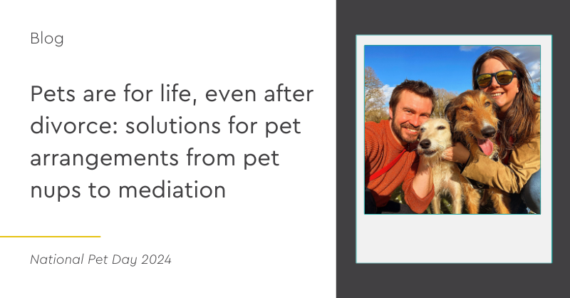 Pets are for life, even after divorce: solutions for pet arrangements ...